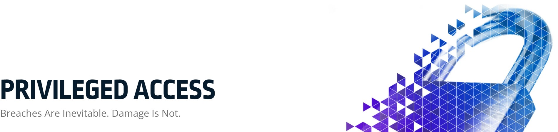 CyberArk Endpoint Privilege Manager - Chillisoft