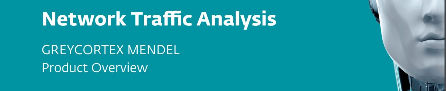 ESET Grey Cortex - Chillisoft